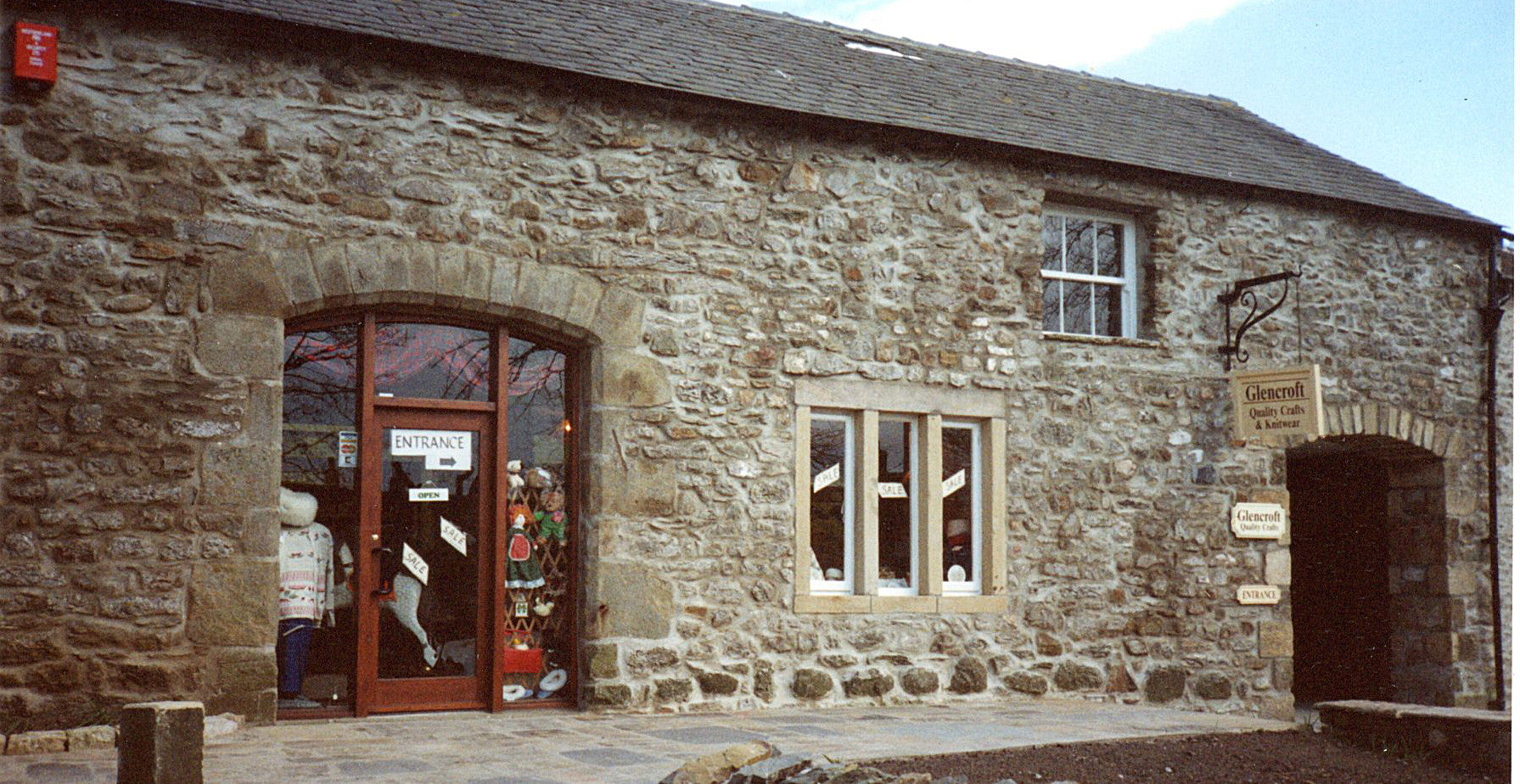 Sheep Invade The Cowshed